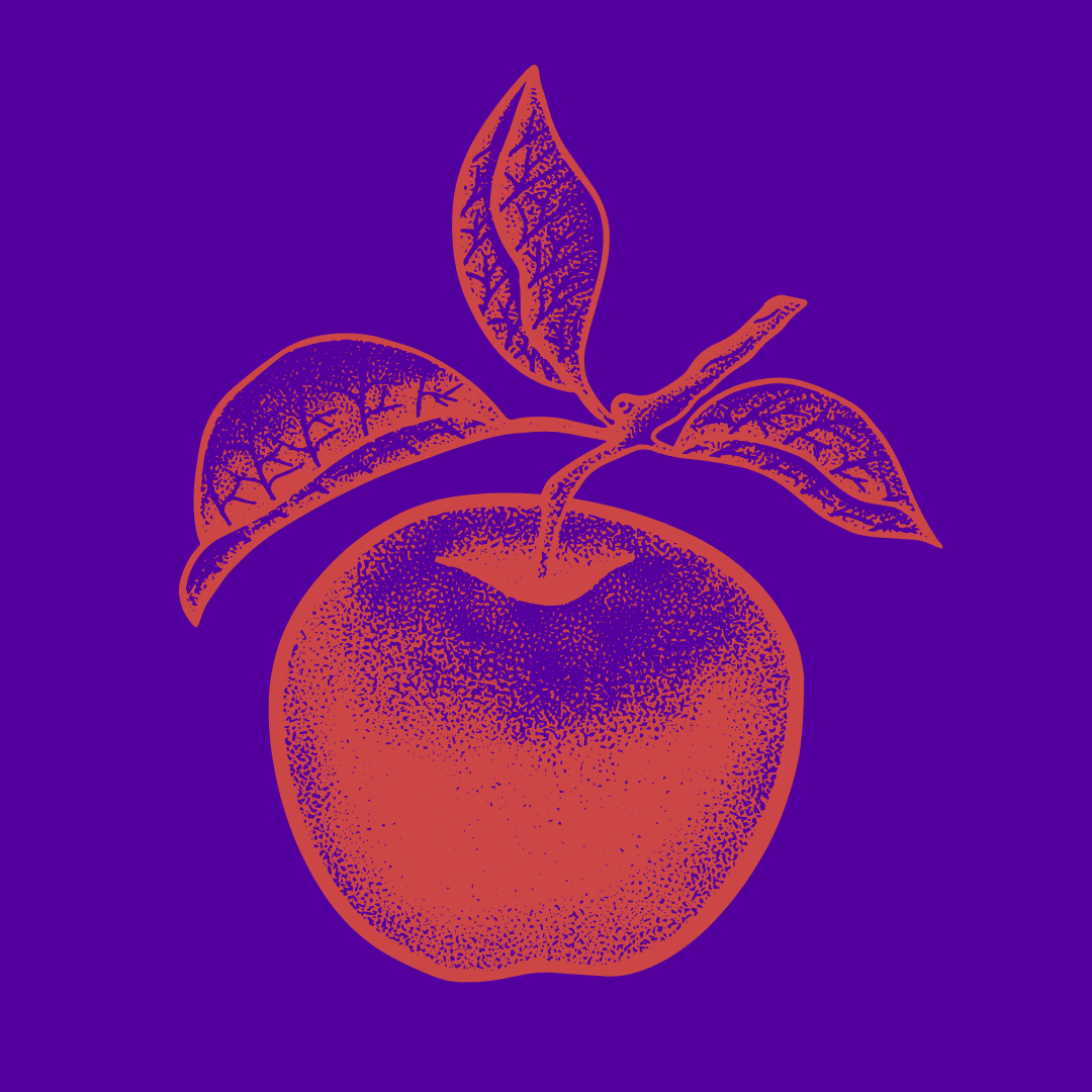 Freedom Apple | Thimble Hill Nursery